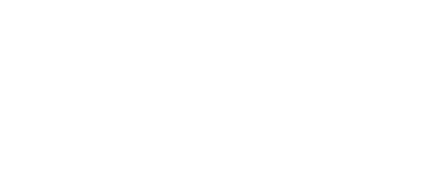 Lifespark Vision