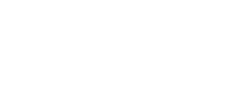 Lifespark Vision